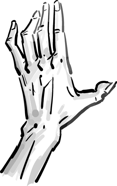 Friday Sketch: Old Hand | Colleen Coover